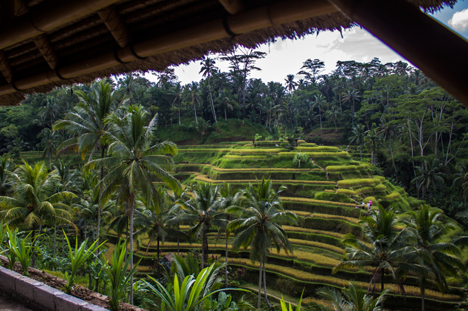 Tips for Enjoying Blissful Bali - Global Girl Travels