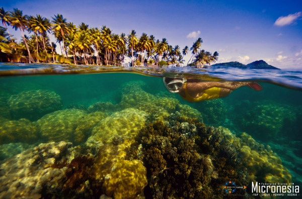 Top Dive Spots in Micronesia - Global Girl Travels