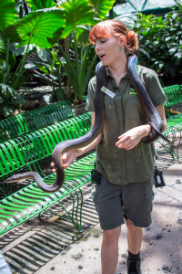 Get High at Cairns Zoom & Wildlife Dome - Global Girl Travels