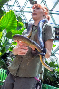 Get High at Cairns Zoom & Wildlife Dome - Global Girl Travels