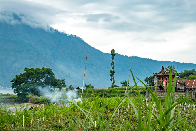 Bali-farm-mts-H - Global Girl Travels