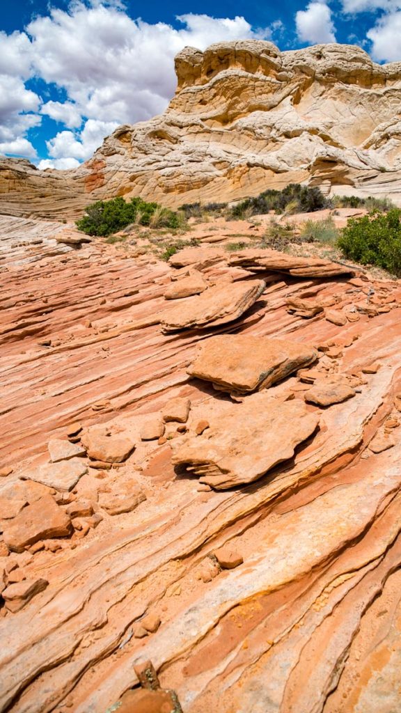 The Weird and Wonderful White Pocket, Arizona - Global Girl Travels